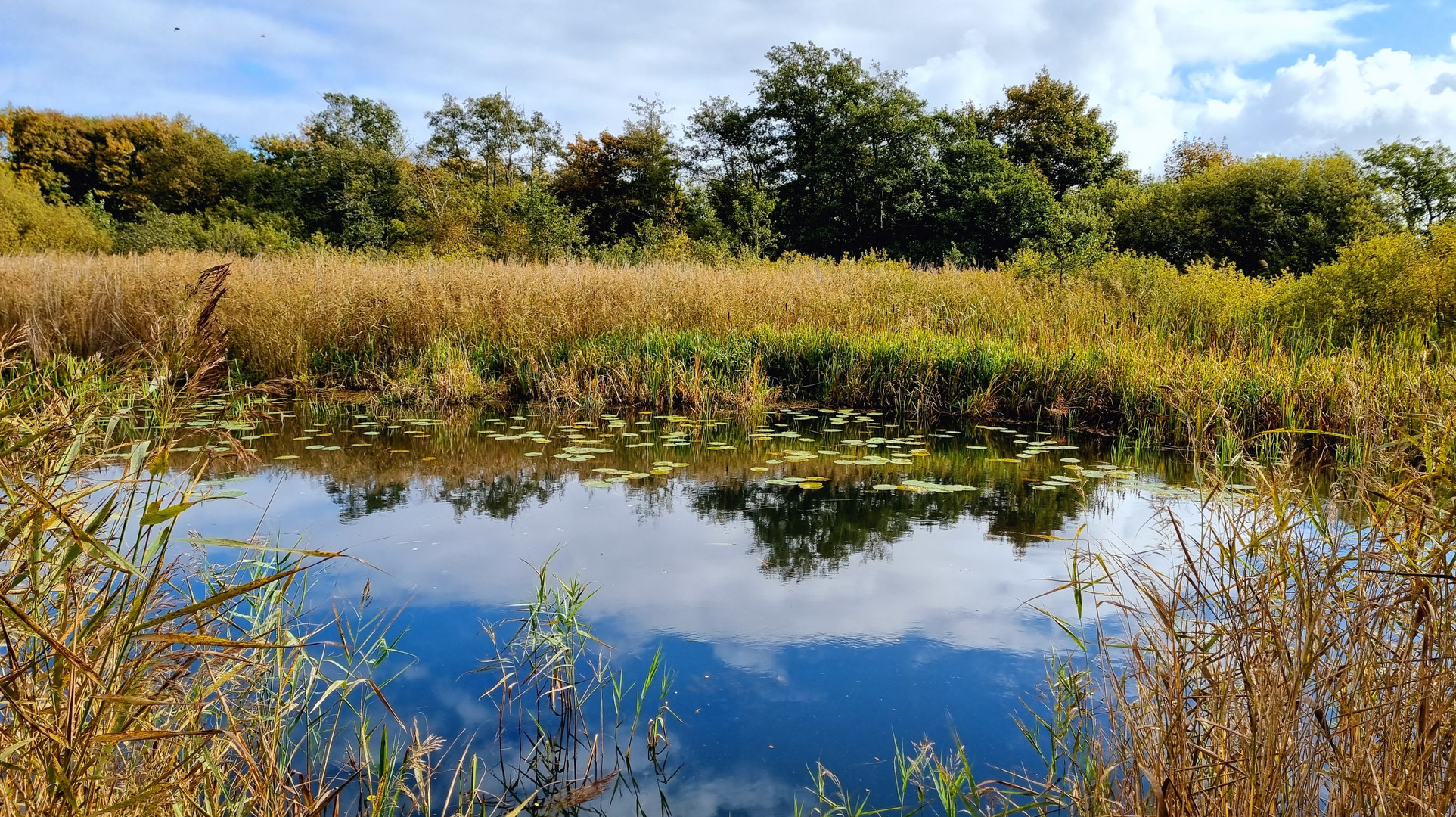 Fischteich Foto & Bild | landschaft, lebensräume, himmel Bilder auf ...