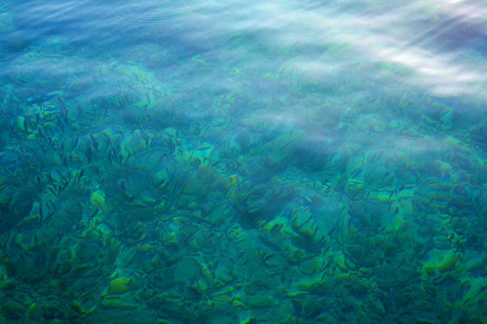 Fischwasser Foto & Bild | archiv, digitalphoto landschaftsfotos, archiv ...