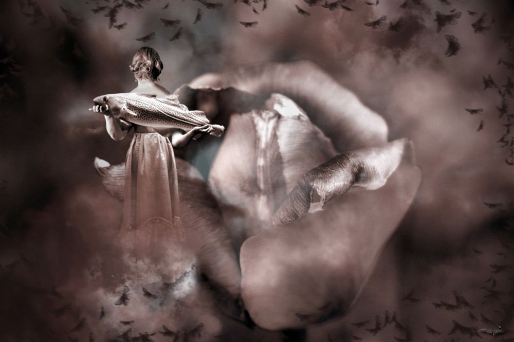 Fischweib Foto & Bild | fotomontage, fantasy mystery, surreal Bilder auf fotocommunity