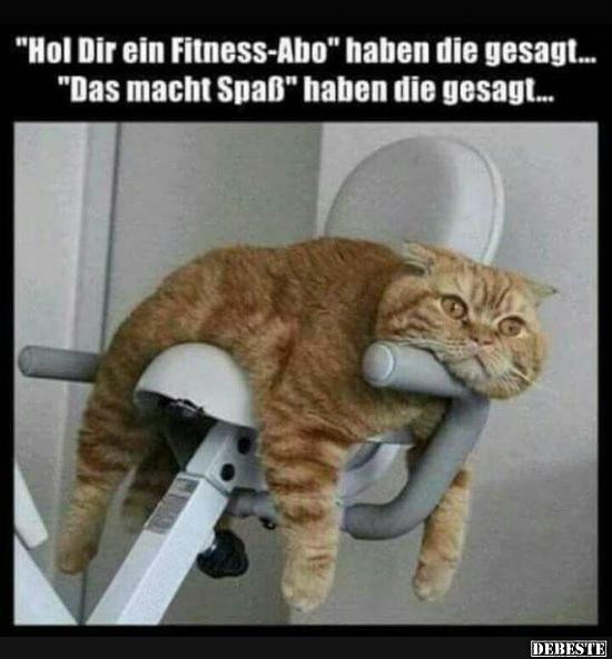 Fitness macht Spaß Foto & Bild | schilder, quatsch, katze, fitness ... Fitness macht Spaß Foto & Bild | schilder, quatsch, katze, fitness ...