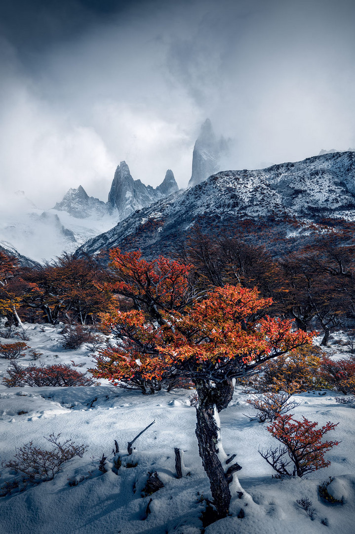Fitz Roy umhüllt von Wolken Foto & Bild | landschaft, patagonien ...