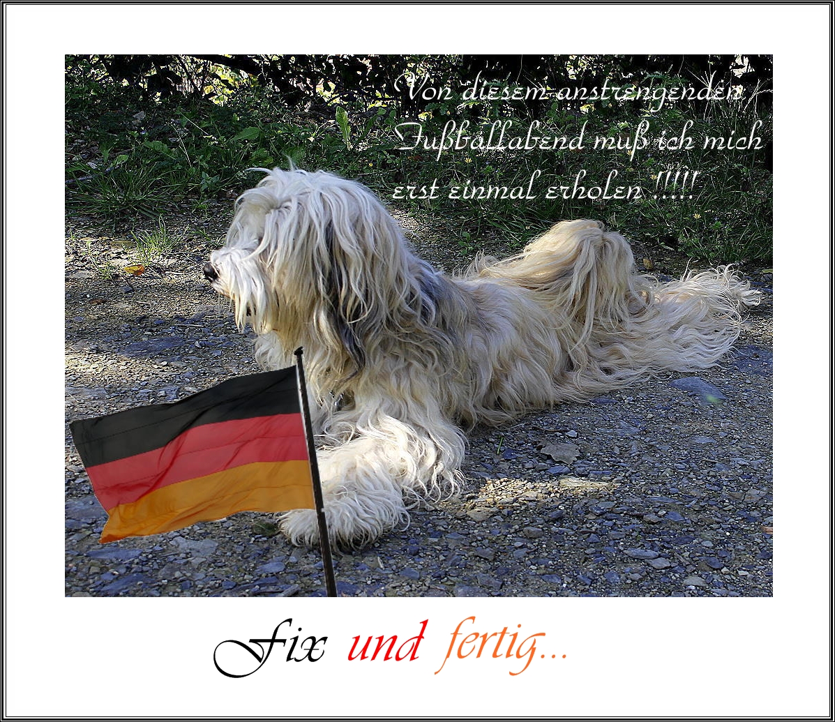 Fix und ferig.... Foto & Bild | natur, tiere, haustiere Bilder auf ...