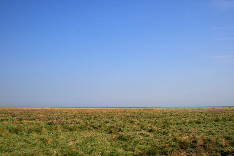 flach, flacher, ... Foto & Bild | deutschland, europe, niedersachsen ...