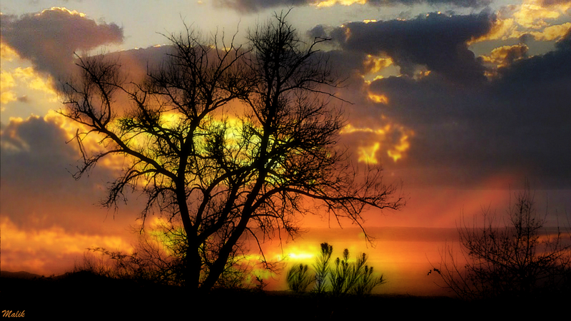 Flamboyante photo et image | nature, soleil, soleil couchant Images ...