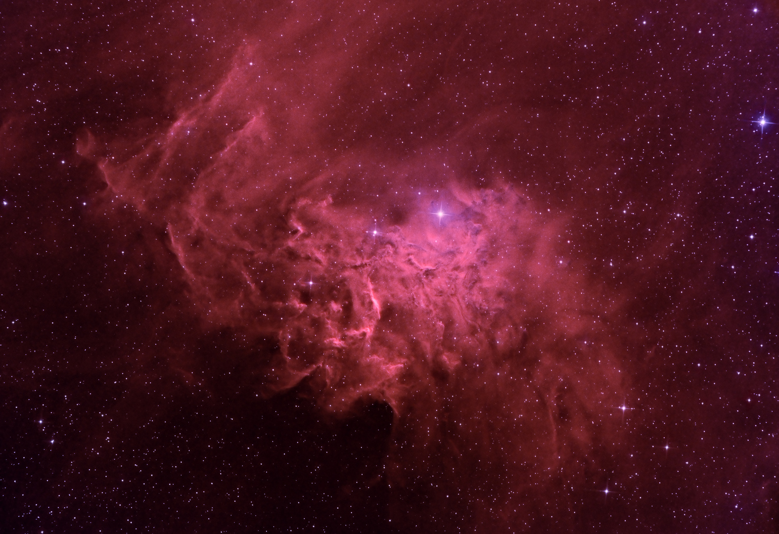 Flaming Star Nebula (IC405) Bicolor Foto & Bild | astrofotografie ...