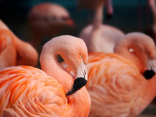 Sarah Z - Fotos & Bilder - Fotografin aus Wolfsburg, Deutschland ...