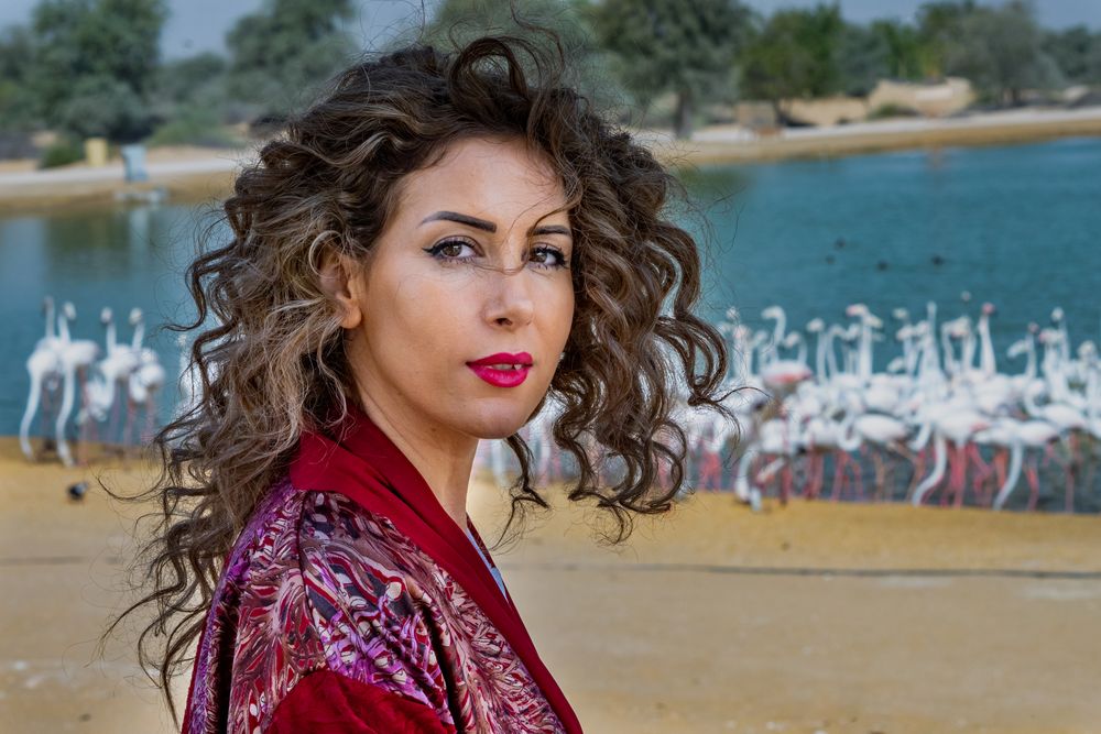 Flamingo Queen Foto & Bild | erwachsene menschen, tiere, wildlife ...