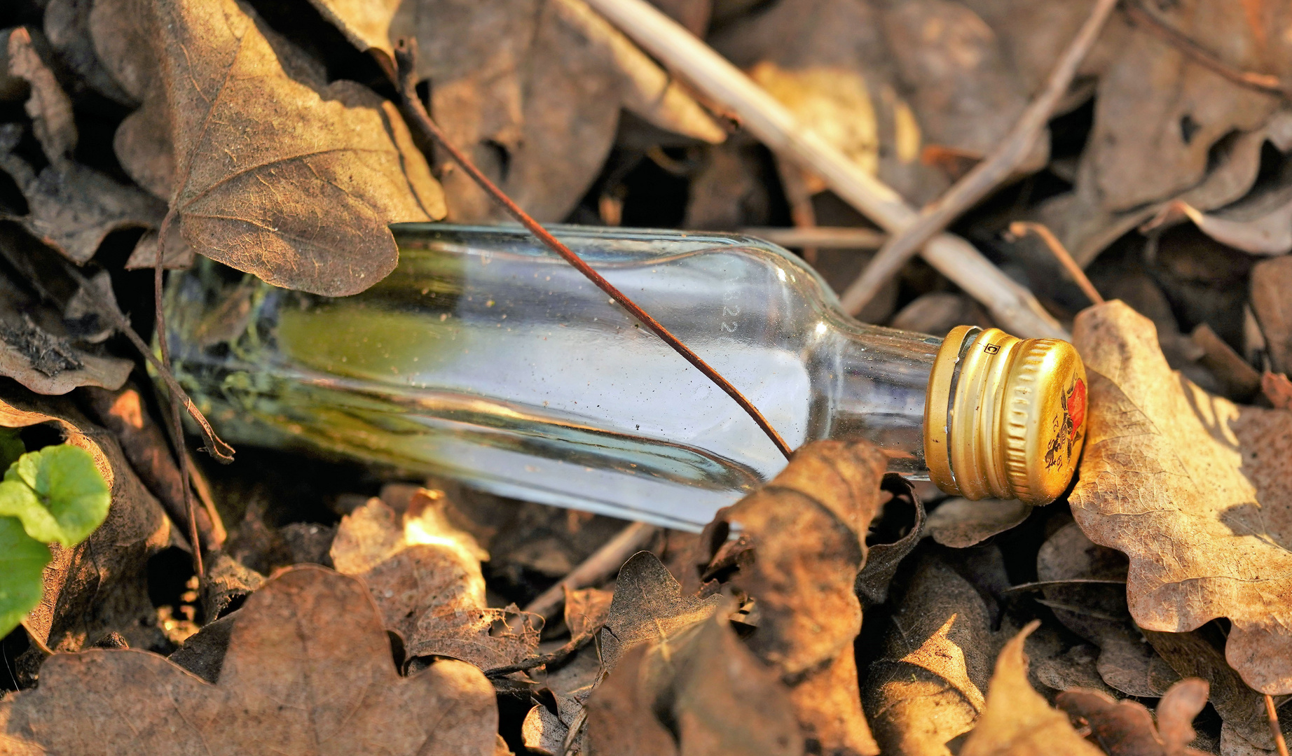 Flasche leer Foto & Bild | reportage dokumentation, landschaft, konzept ...