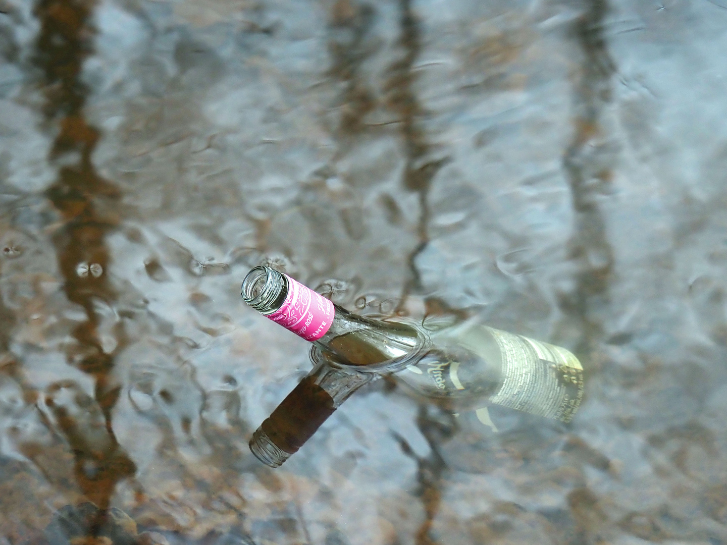 Flasche leer Foto & Bild | architektur, reportage dokumentation ...