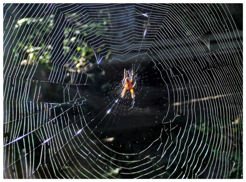 Fleiß und Geduld Foto & Bild | landschaften, natur, landschaft Bilder ...