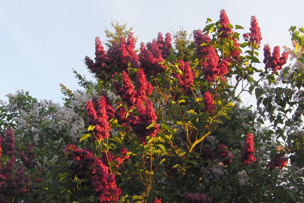 fotocommunity Portfolio von Peter Kotowski