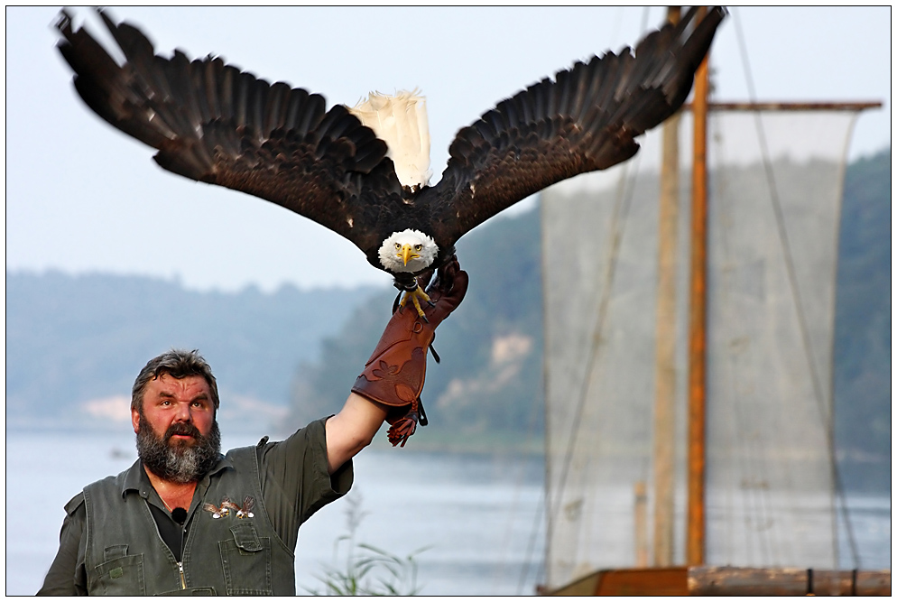 Flieg Adler - flieg...! Foto & Bild | deutschland, europe, mecklenburg- vorpommern Bilder auf ...
