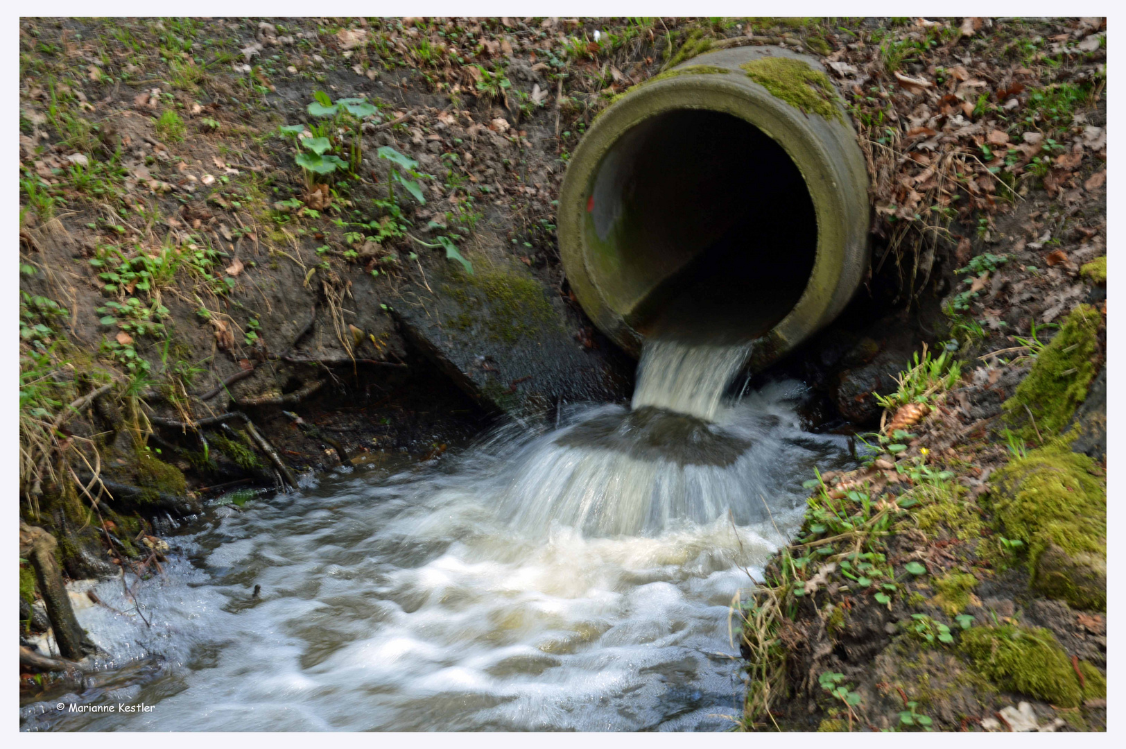 Fließend Foto & Bild | landschaft, bach, fluss & see, flüsse und kanäle ...