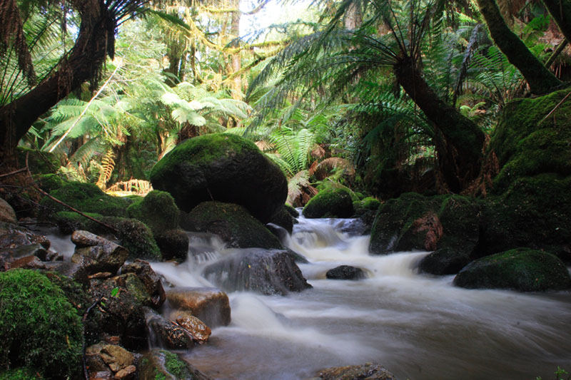Fliessend Foto & Bild | australia & oceania, australia, tasmania Bilder ...