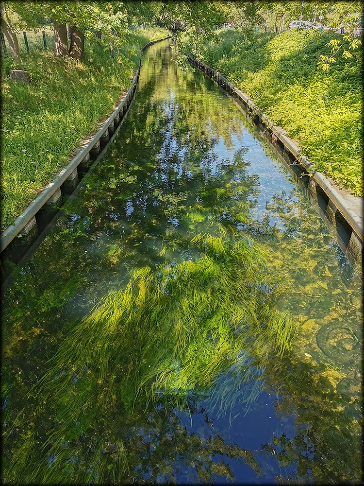 fließend Foto & Bild | deutschland, europe, berlin Bilder auf fotocommunity