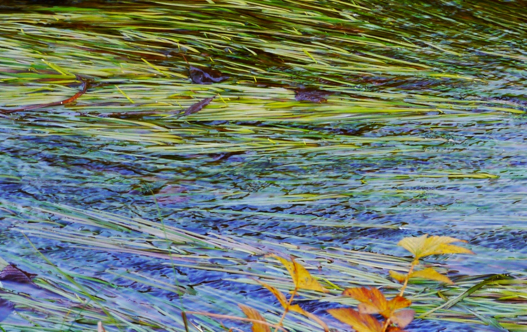 fließend Foto & Bild | spezial, natur, landschaft Bilder auf fotocommunity