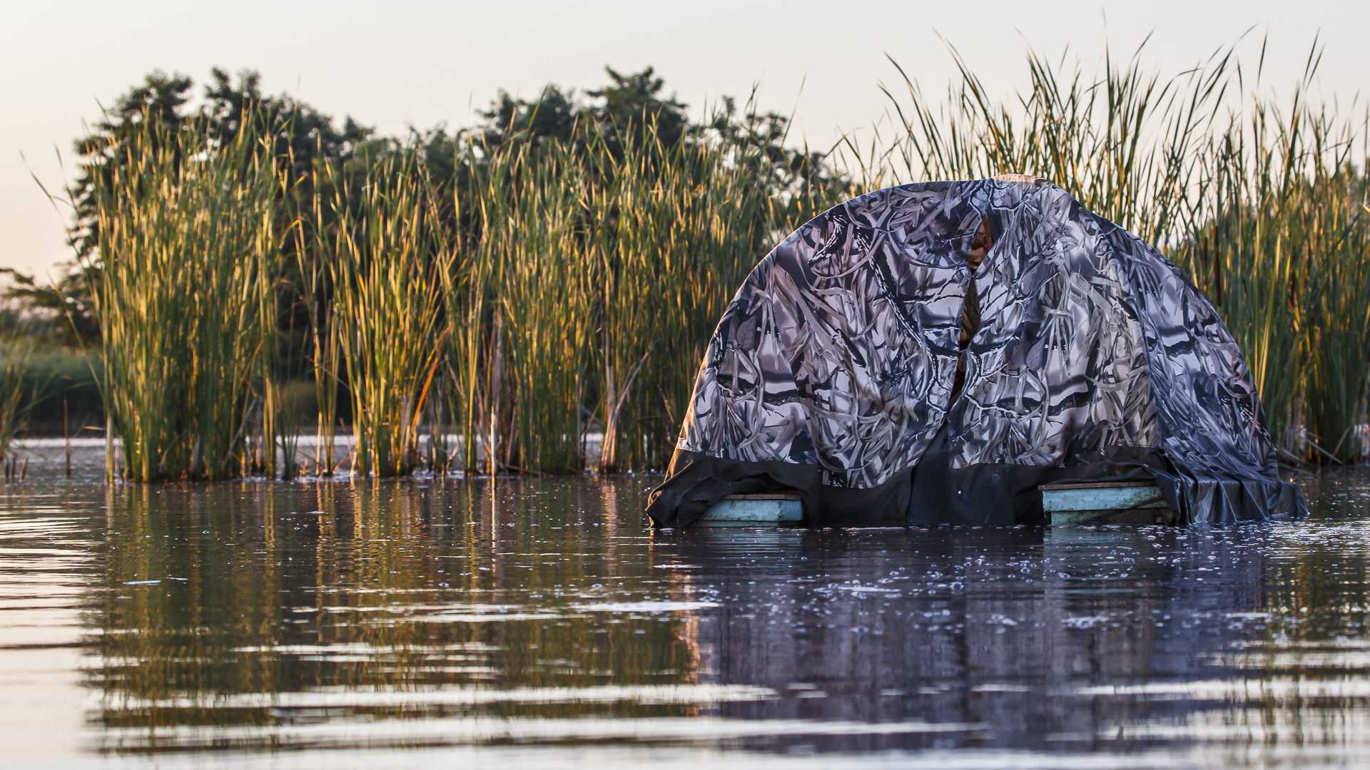 Floating Hide Foto & Bild | bulgarien, schwimmversteck, floating hide ...