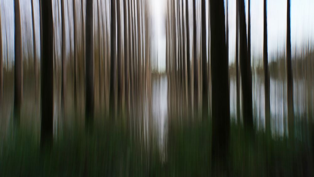 Flou artistique..... photo et image | special, flou, visions ...