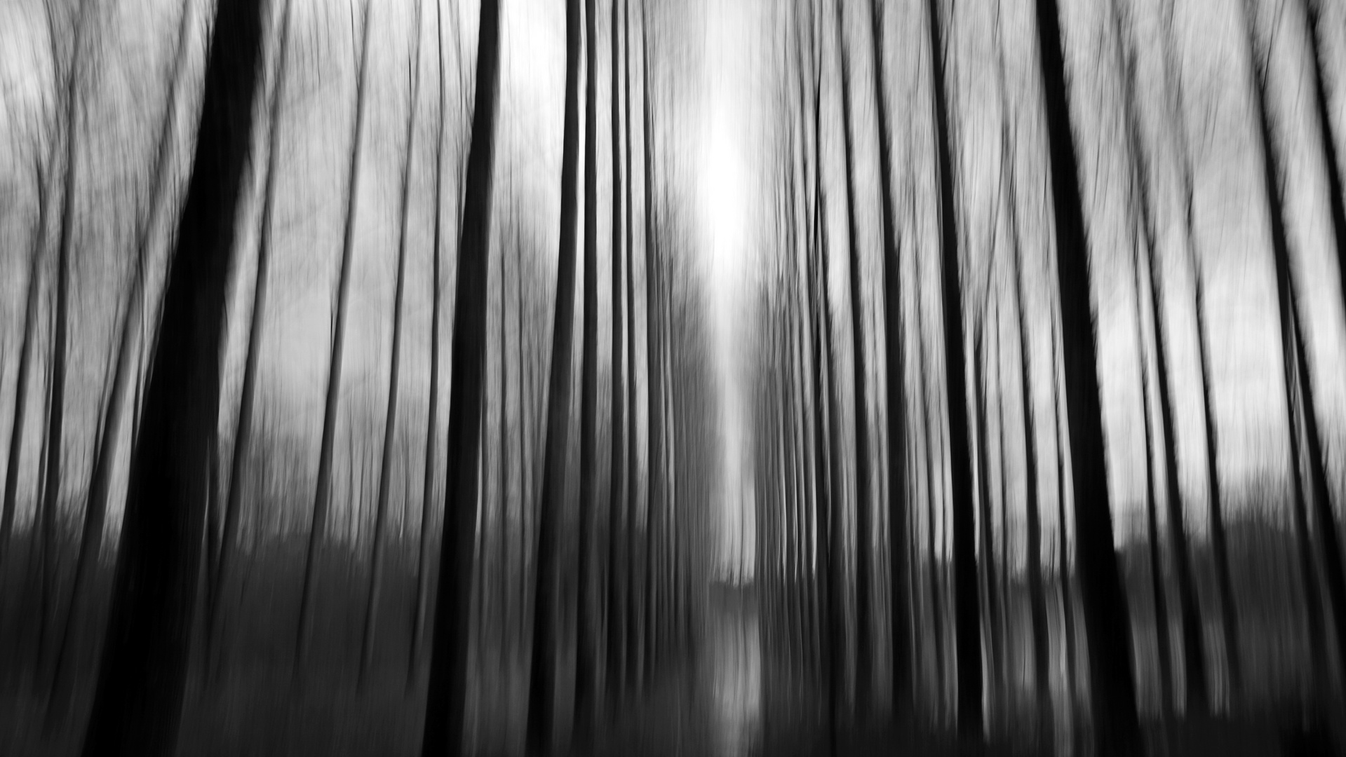 Flou artistique monochrome.... photo et image | monochrome, special ...