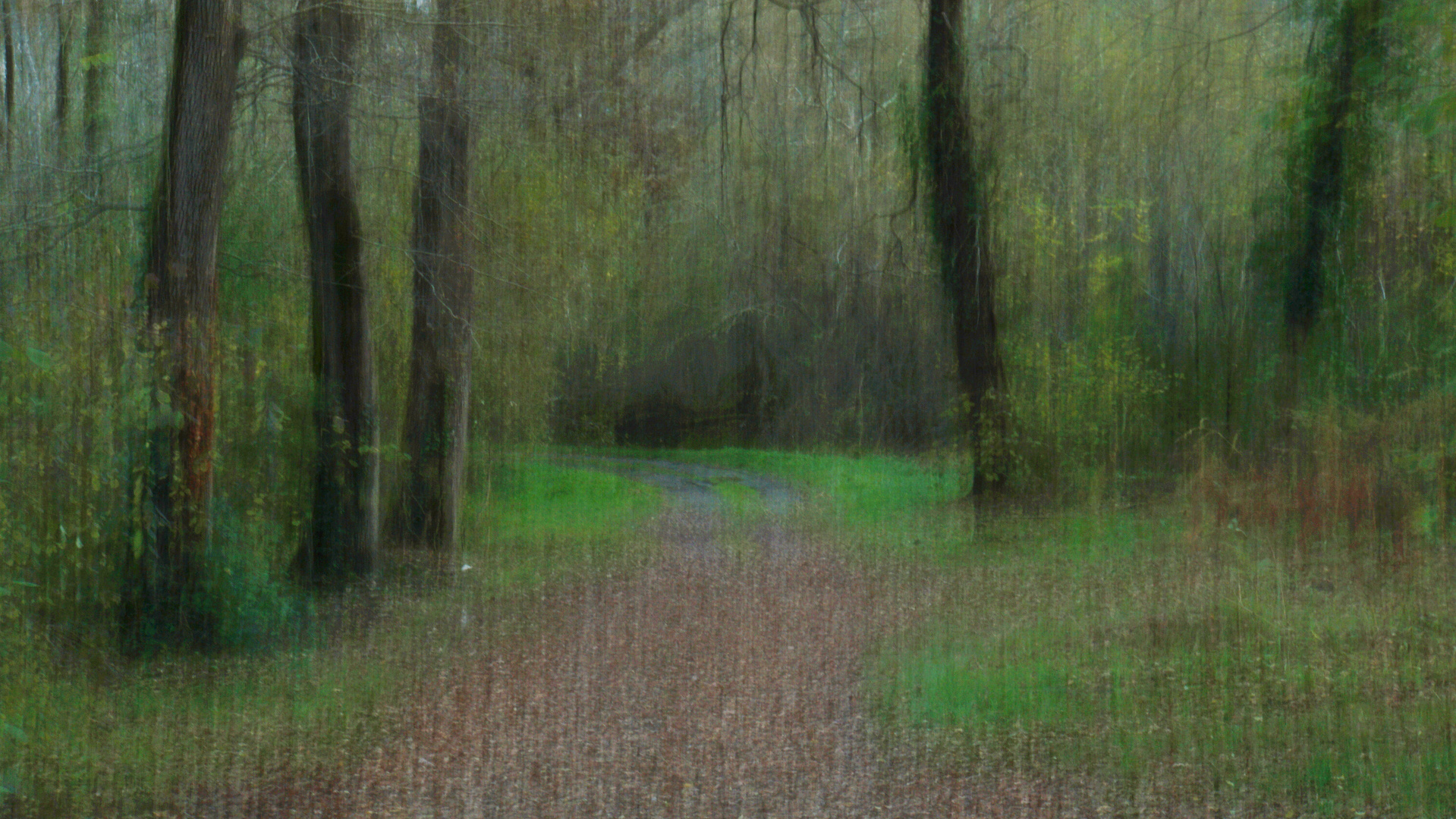 Flou artistique.... Sentier forestier..... photo et image | flou ...