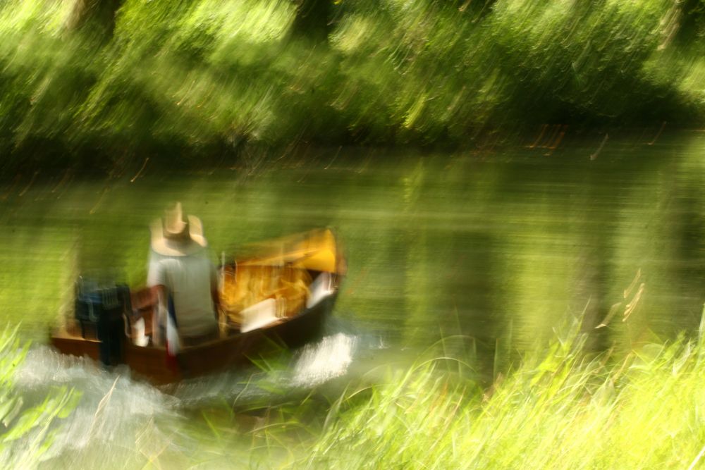 Flou volontaire photo et image | arbres, au fil de l\' eau, nature ...