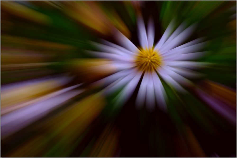 flower flash Foto & Bild | abstraktes, natur-kreativ, aufnahmetechniken ...