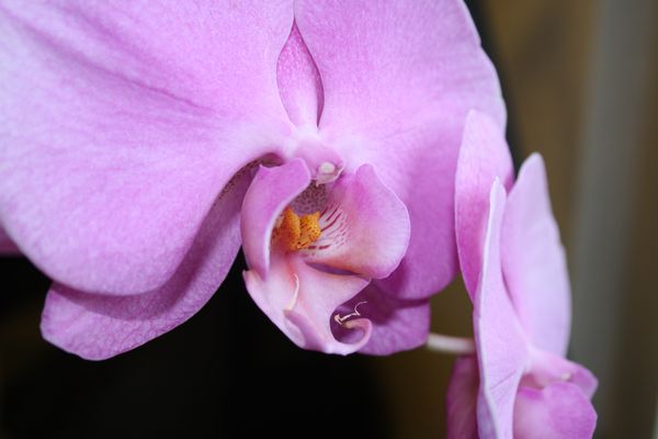 Maike Engelke - Fotos & Bilder - Fotografin | fotocommunity