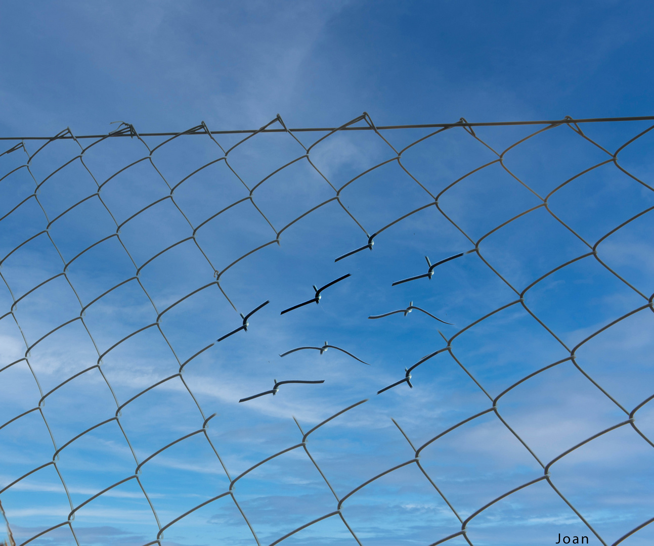 Flucht Foto & Bild | fotomontage, surreal, digiart Bilder auf fotocommunity