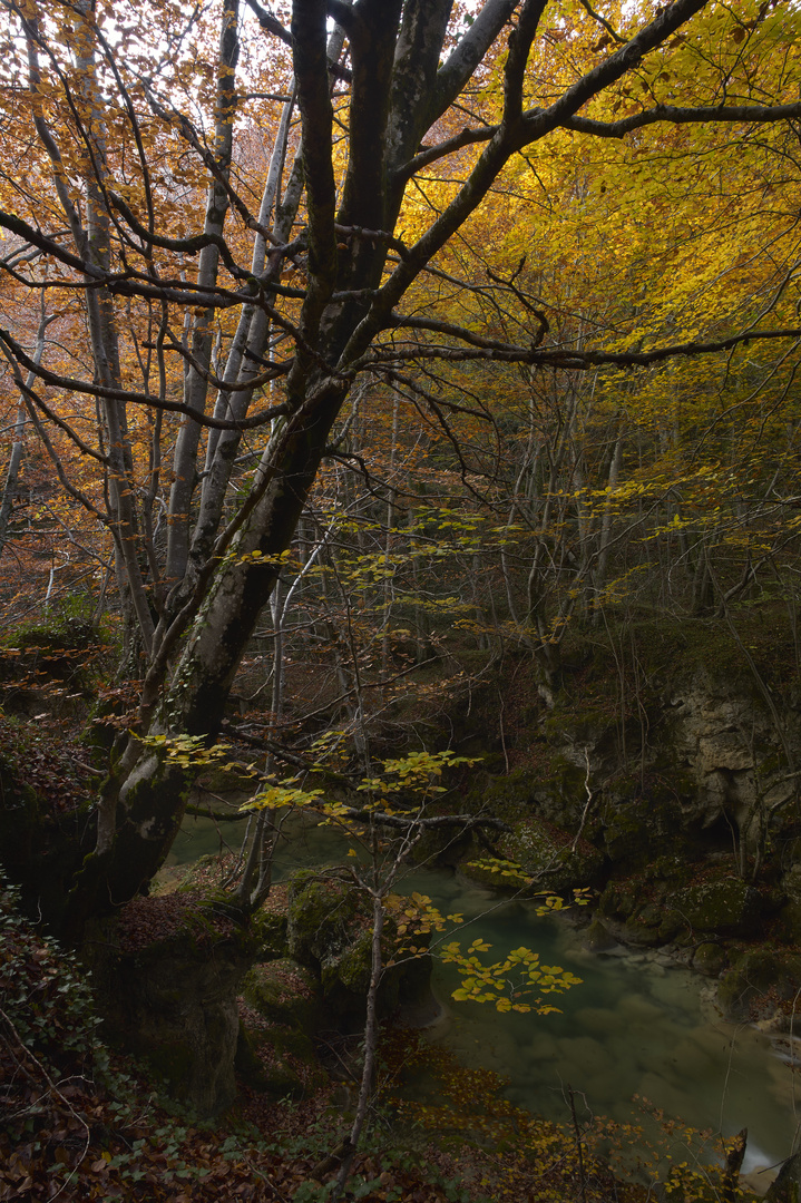 Flumen Imagen & Foto | spain, landschaft, naturaleza Fotos de fotocommunity