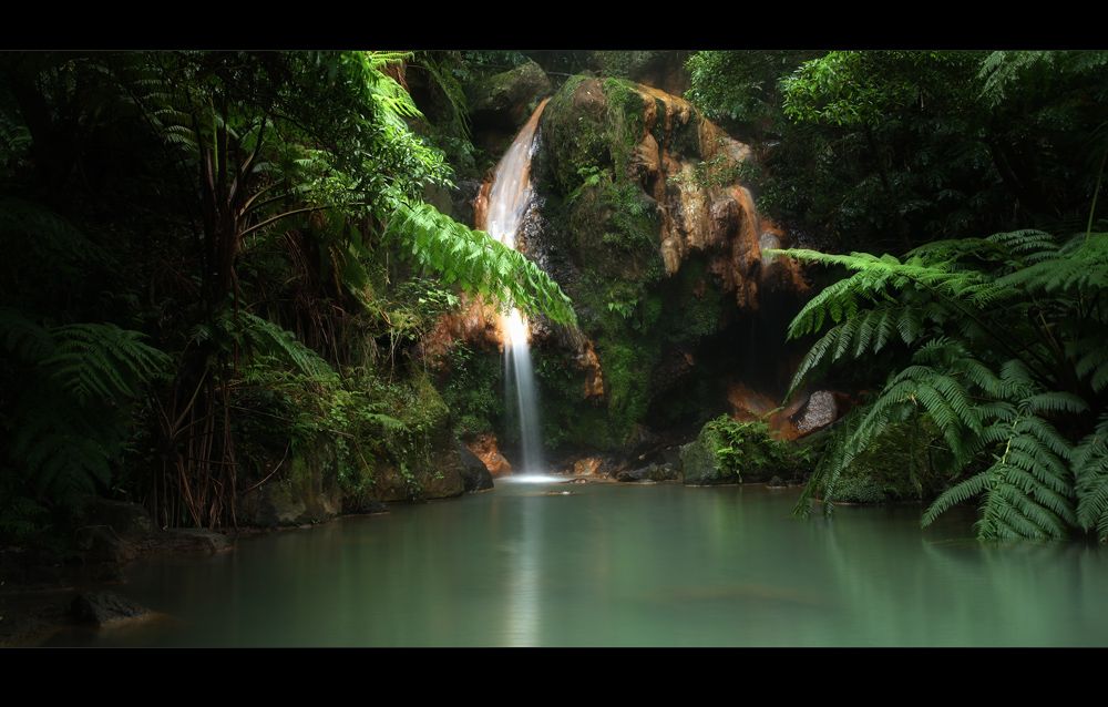 Fluss im Regenwald Foto & Bild | landschaft, wald, natur Bilder auf ...