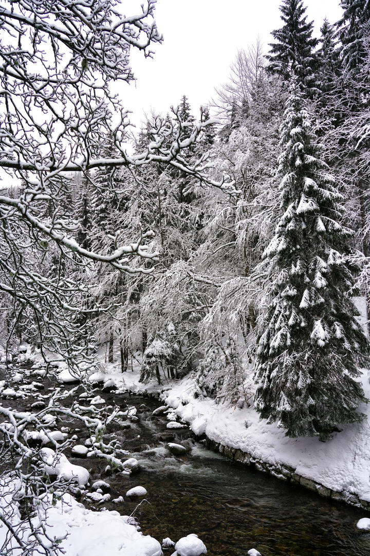 Fluss im Winter Foto & Bild | motive, natur, world Bilder auf fotocommunity