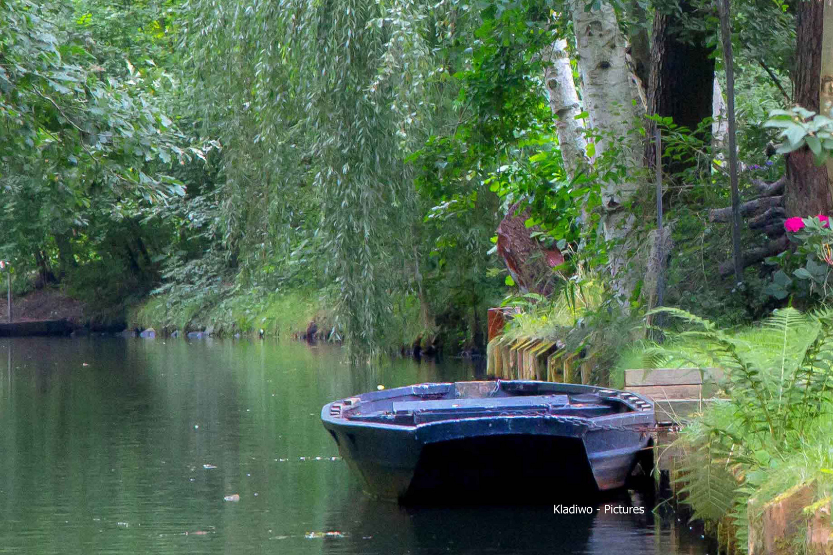 Flusslandschaft 11 Foto & Bild | natur, wasser, spree Bilder auf ...