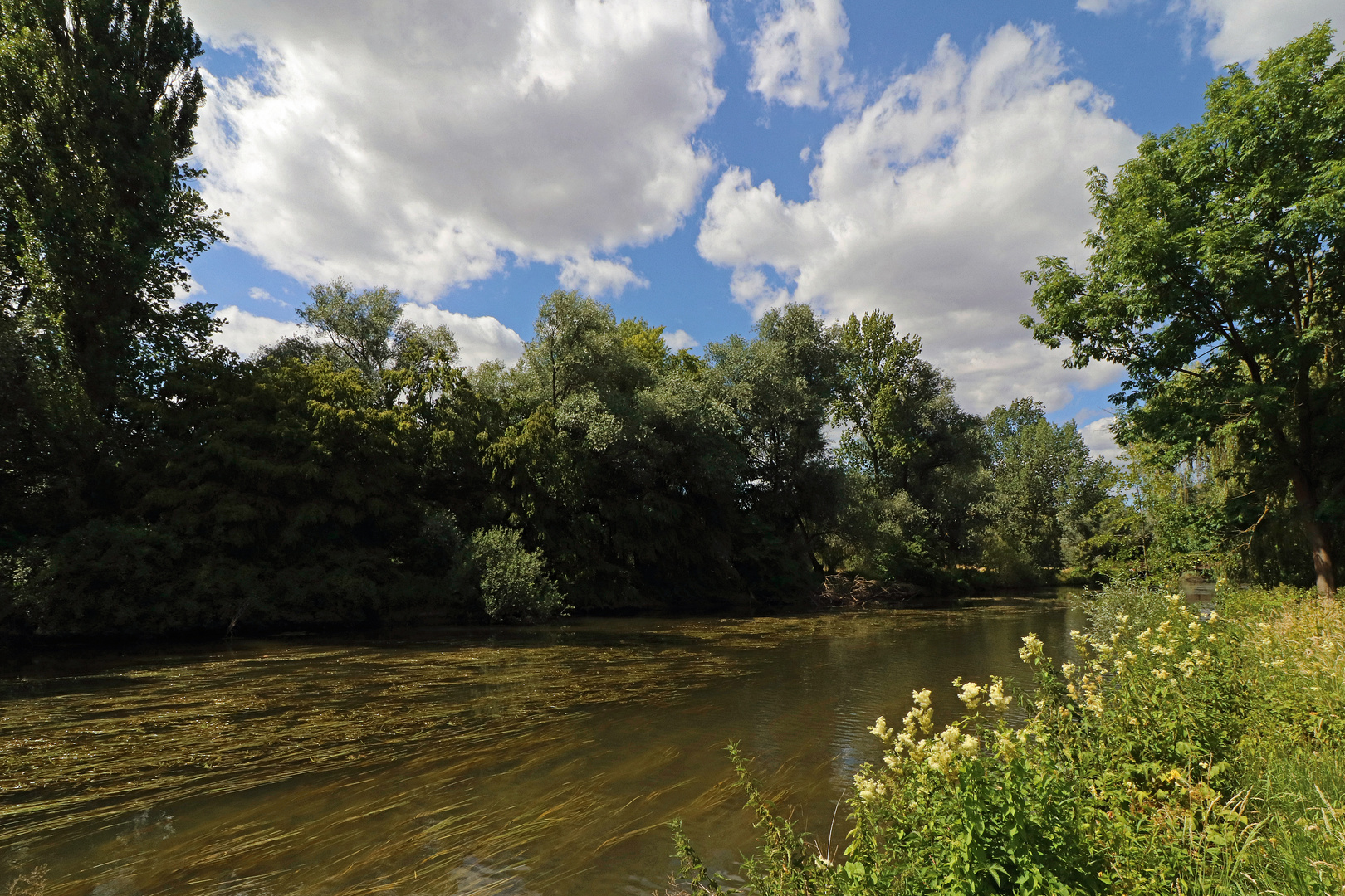 Flusslandschaft Foto & Bild | landschaften, sommer, wasser Bilder auf ...
