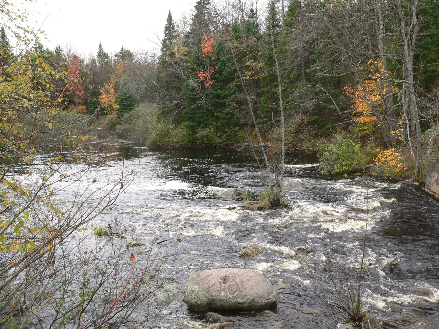 Flusslauf mit Charisma Foto & Bild | landschaft, bach, fluss & see, flüsse und kanäle Bilder auf ...