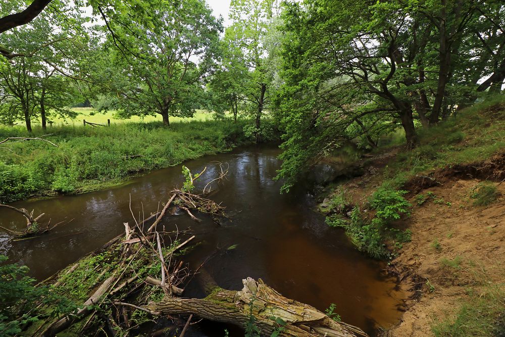 Flusslauf mit Hindernissen Foto & Bild | landschaften, sommer, wasser Bilder auf fotocommunity