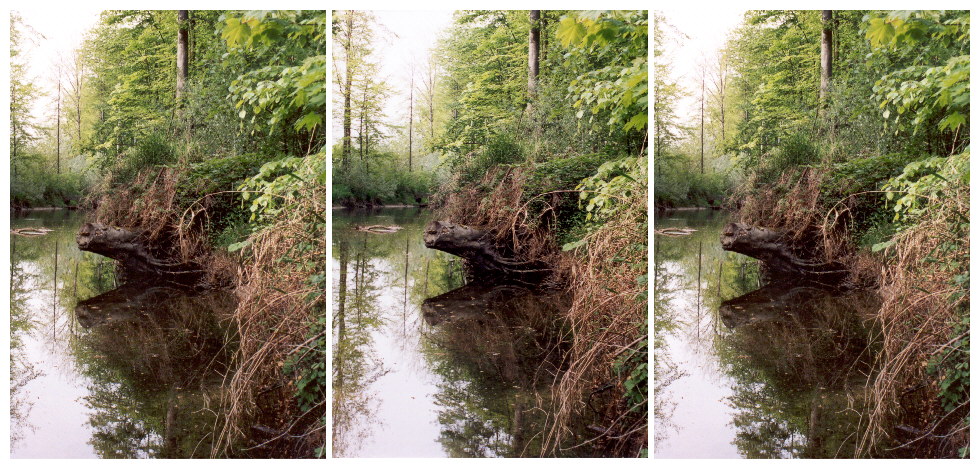 Flussufer Foto & Bild | stereoskopische raumbilder, spezial Bilder auf ...