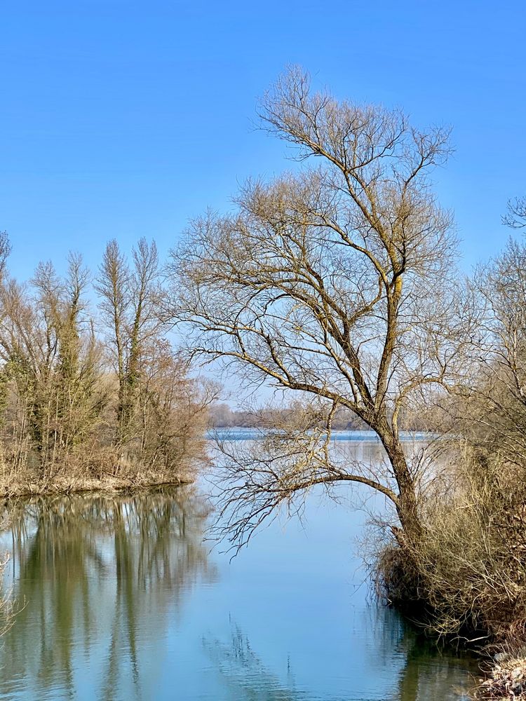 Flussufer D93FDD36-32A4-41B3-A3FD-A8DB0DE0C5EF Foto & Bild | natur, see ...