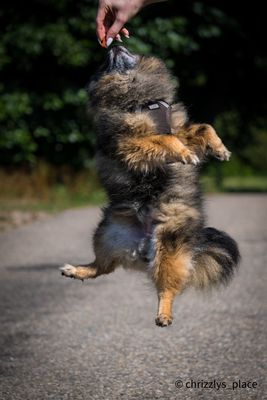 Anfängerecke - nachgefragt Bilder & Fotos