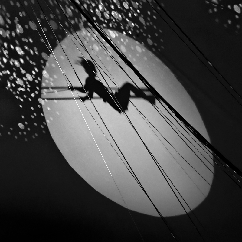 Flying Lisa Foto & Bild | art, spezial, zirkus Bilder auf fotocommunity