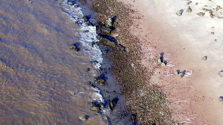 Amazonas Bilder & Fotos