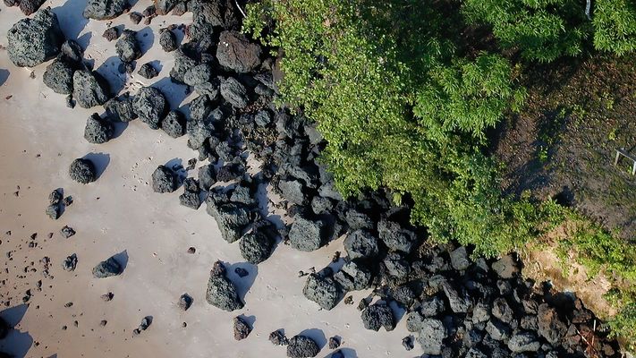 Amazonas Bilder & Fotos