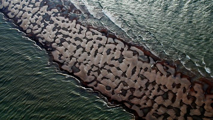 Amazonas Bilder & Fotos