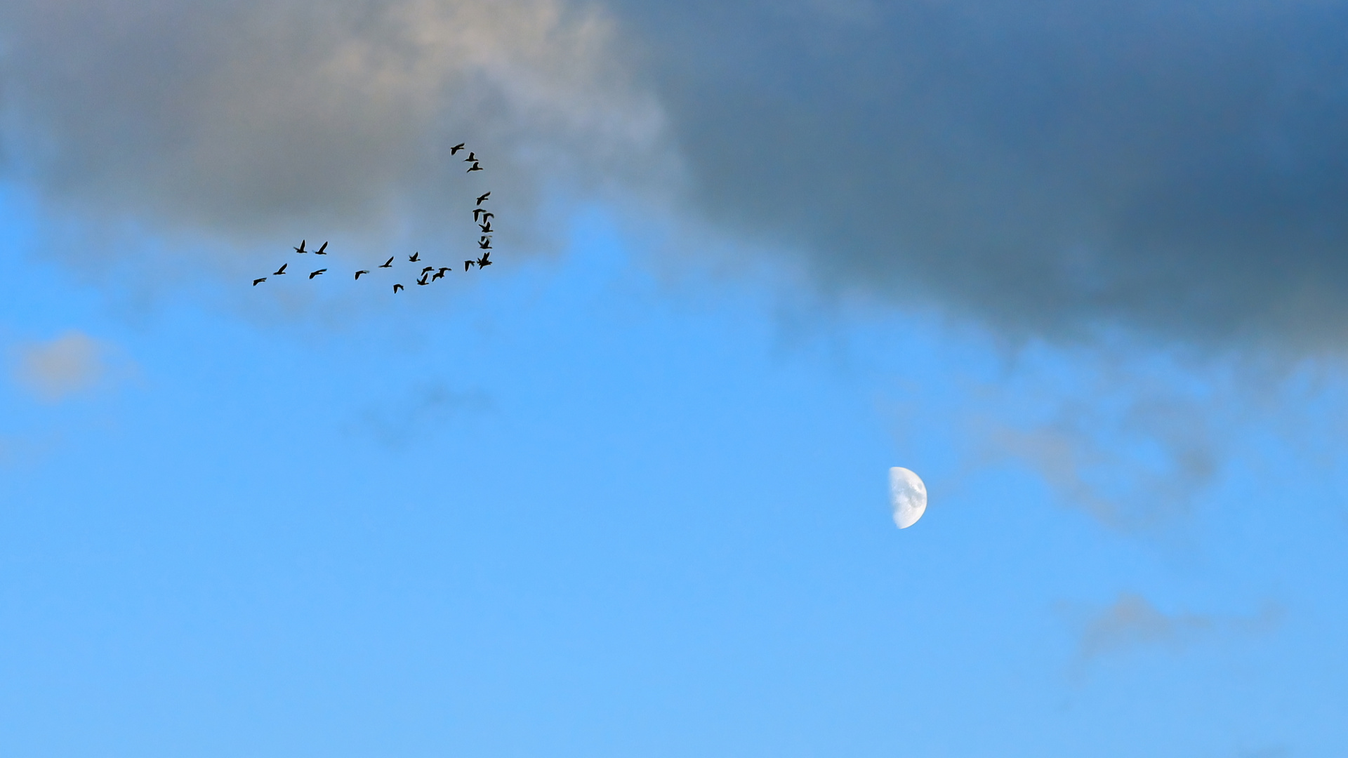 Flying to the moon Foto & Bild | sommer, outdoor, wolken Bilder auf ...