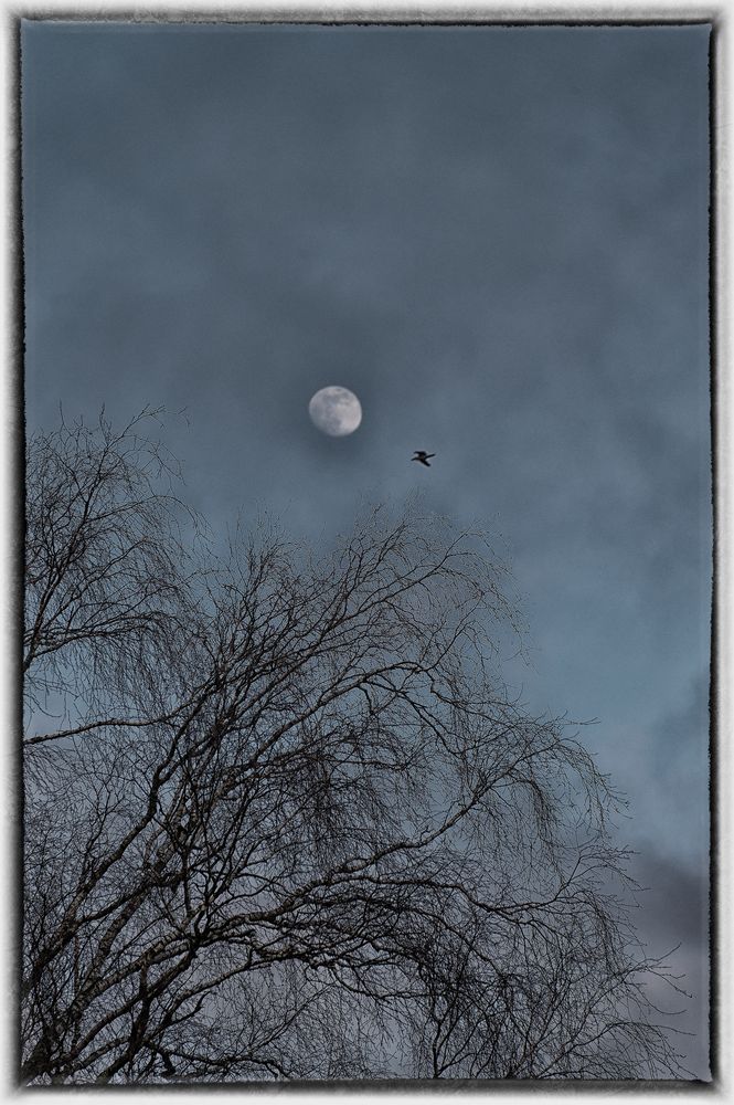 Flying to the Moon Foto & Bild | Bilder auf fotocommunity