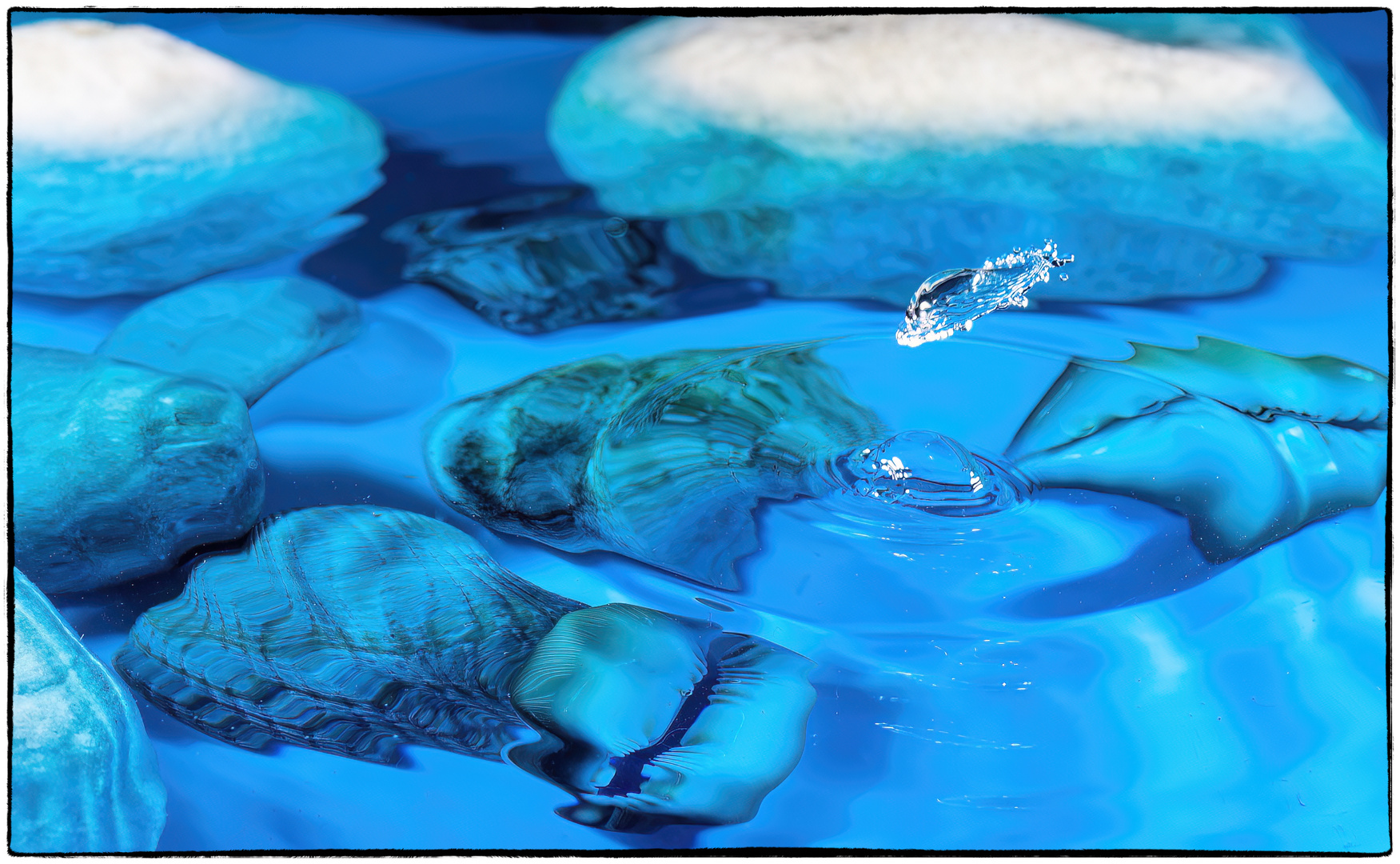 Flying water Foto & Bild | spezial, wasser, makro Bilder auf fotocommunity