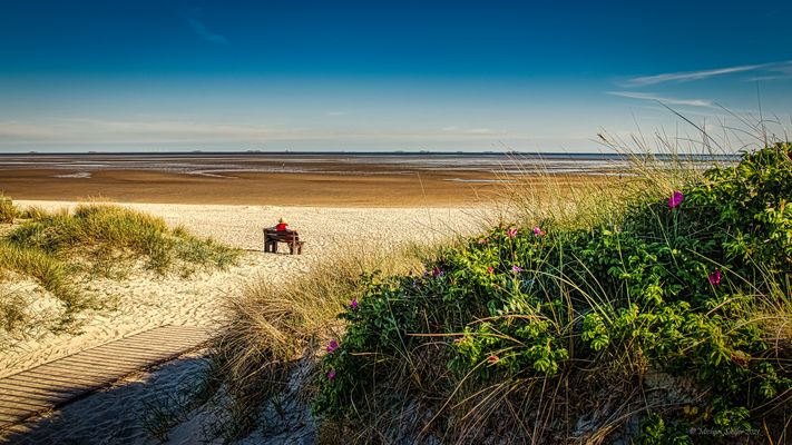 Föhr Bilder & Fotos