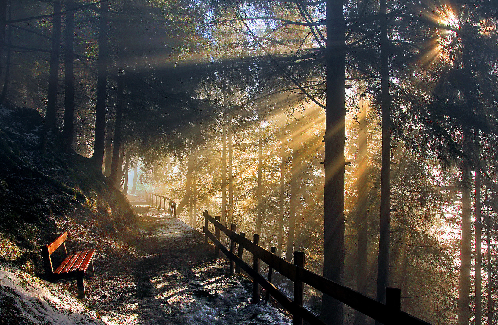 Foggy Sun Foto & Bild | landschaft, wald, sunset Bilder auf fotocommunity