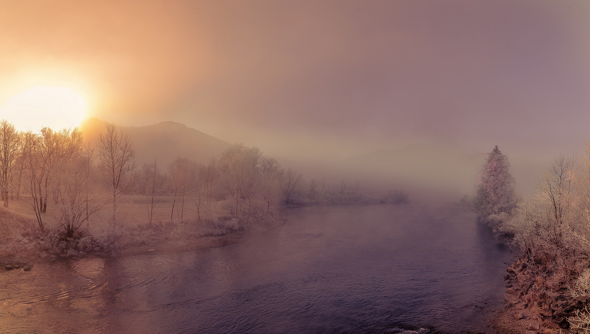 Foggy sunrise Foto & Bild | wald, wasser, sonne Bilder auf fotocommunity