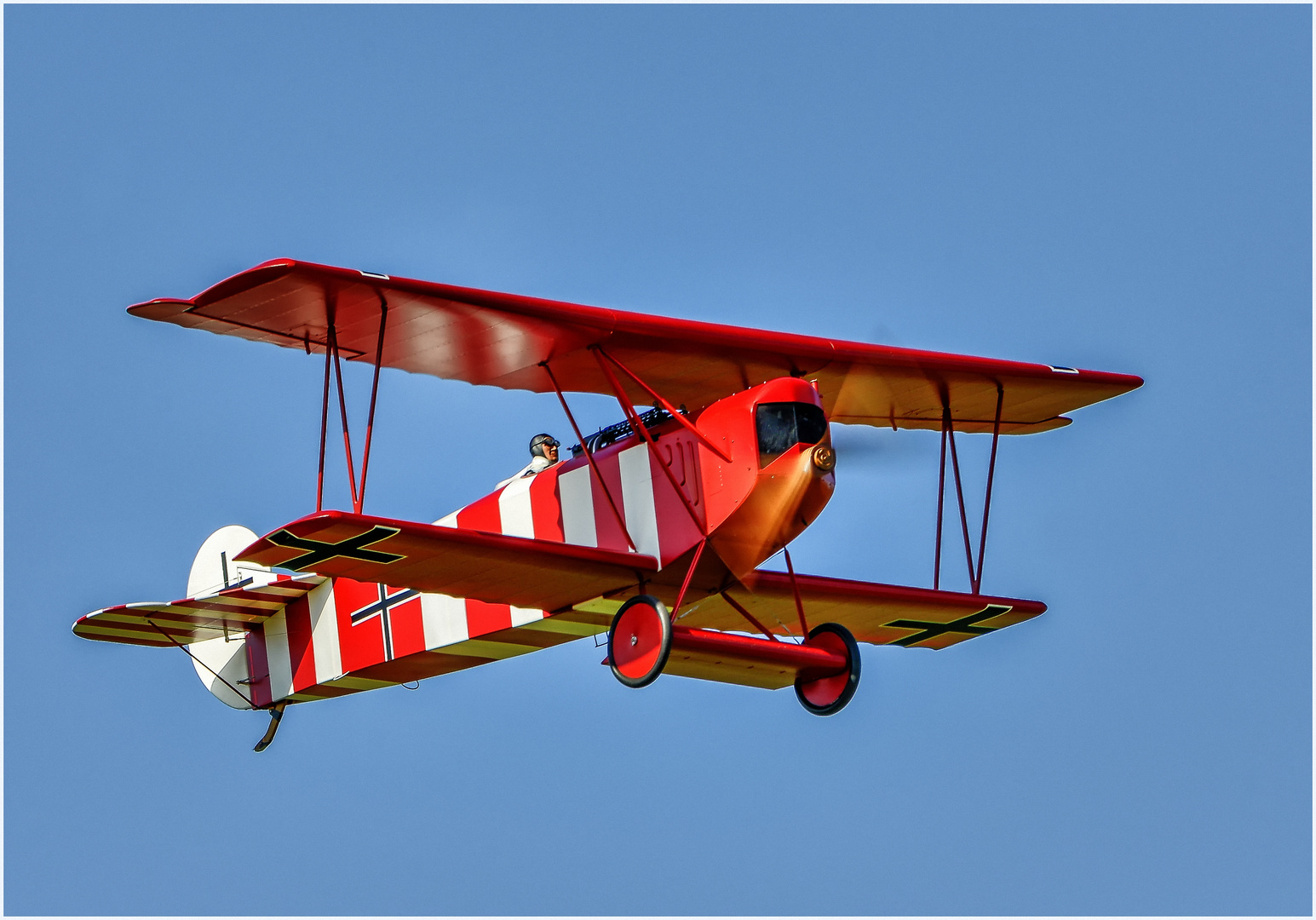 Fokker D VII Foto & Bild | airplane, verkehr, technik Bilder auf ...