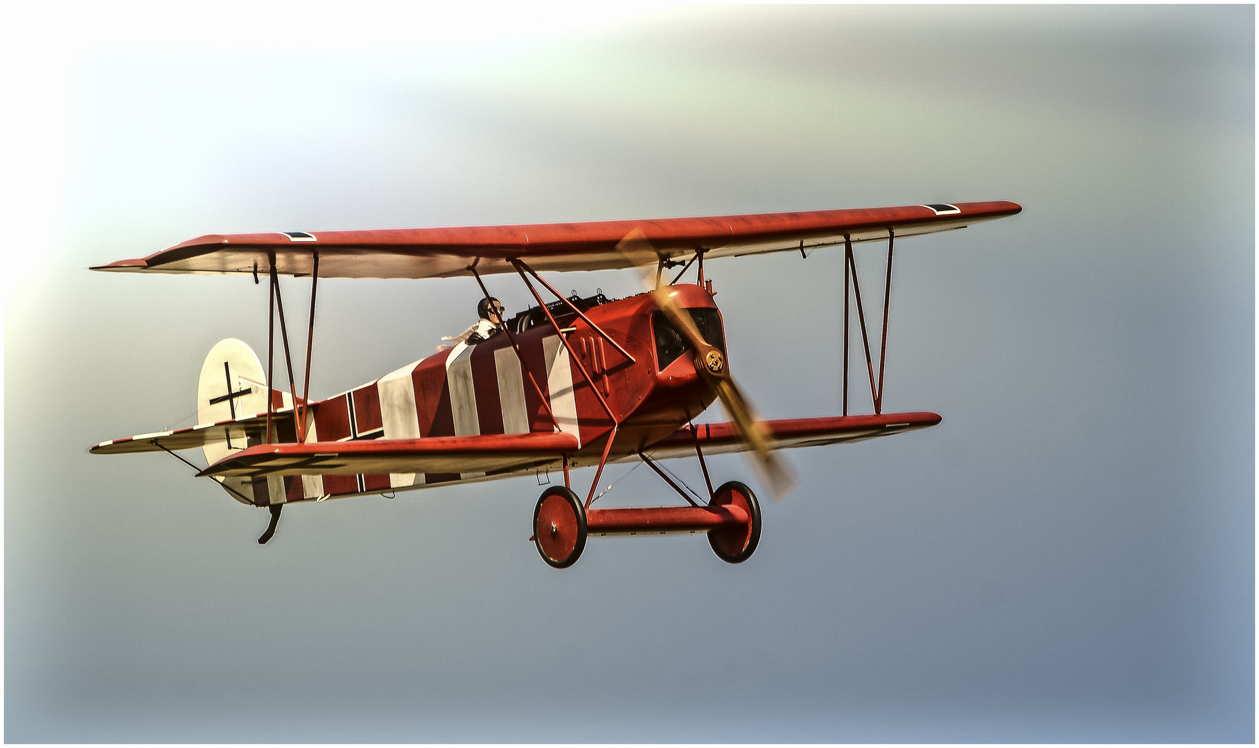 Fokker D-VII im Anflug ! Foto & Bild | airplane, verkehr, technik ...